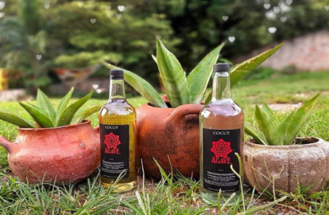 Cocuy, Genuinamente Venezolano - mixologist-bar.com Nestor Parra